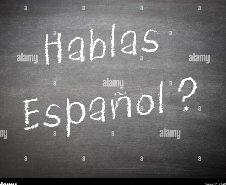 Guía para dominar verbos regulares e irregulares en español