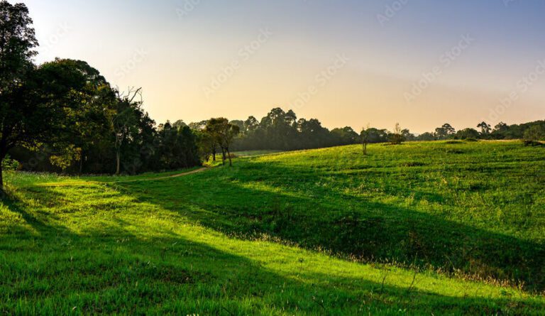 Características y Importancia del Paisaje Rural: Conoce sus Secretos